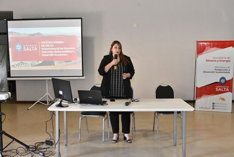 Expertos de Estados Unidos destacaron la gestión minera de Salta ...